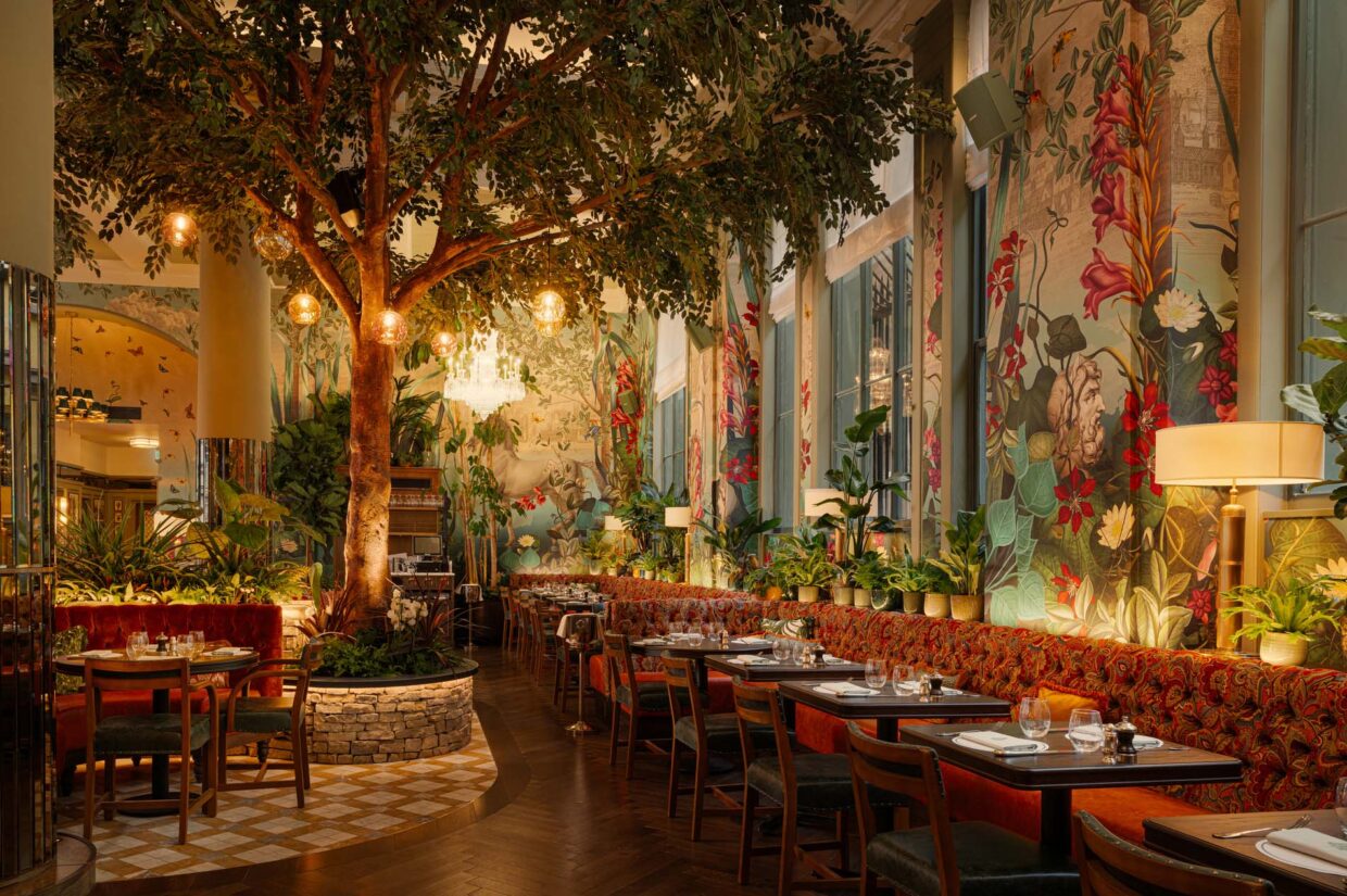 The Ivy Liverpool Brasserie | Liverpool Restaurants