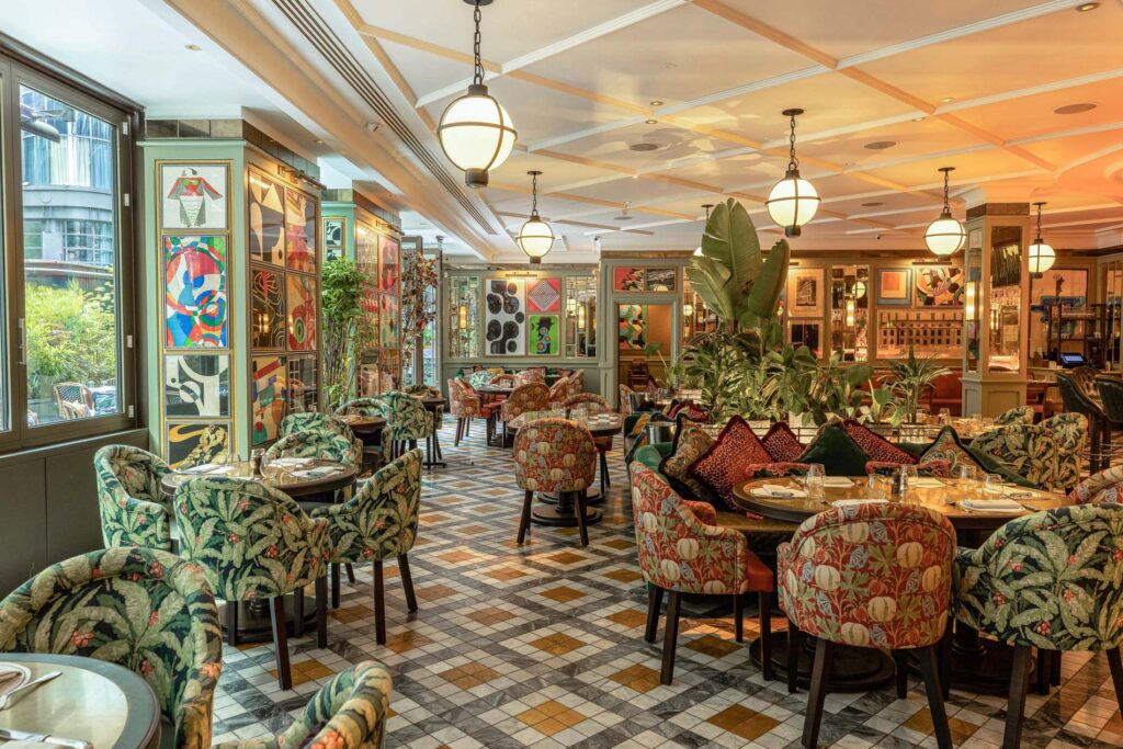 Story - The Ivy Collection