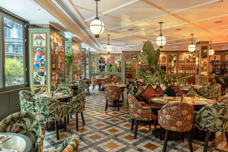 Story - The Ivy Collection