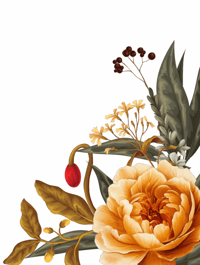 The Isabella Room - The Ivy Collection