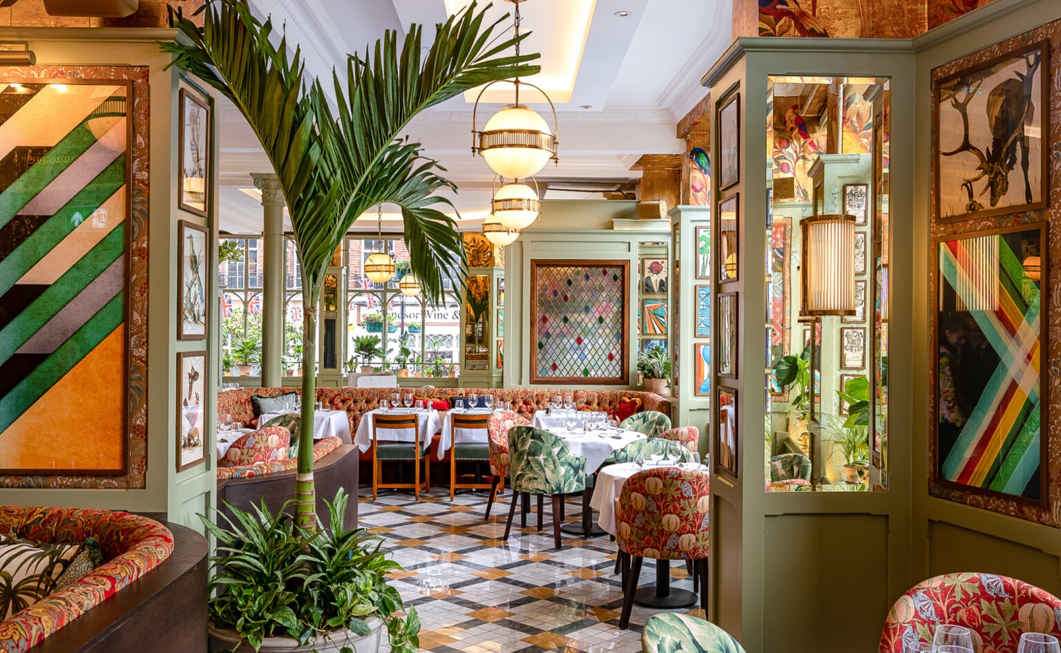 The Ivy Collection
