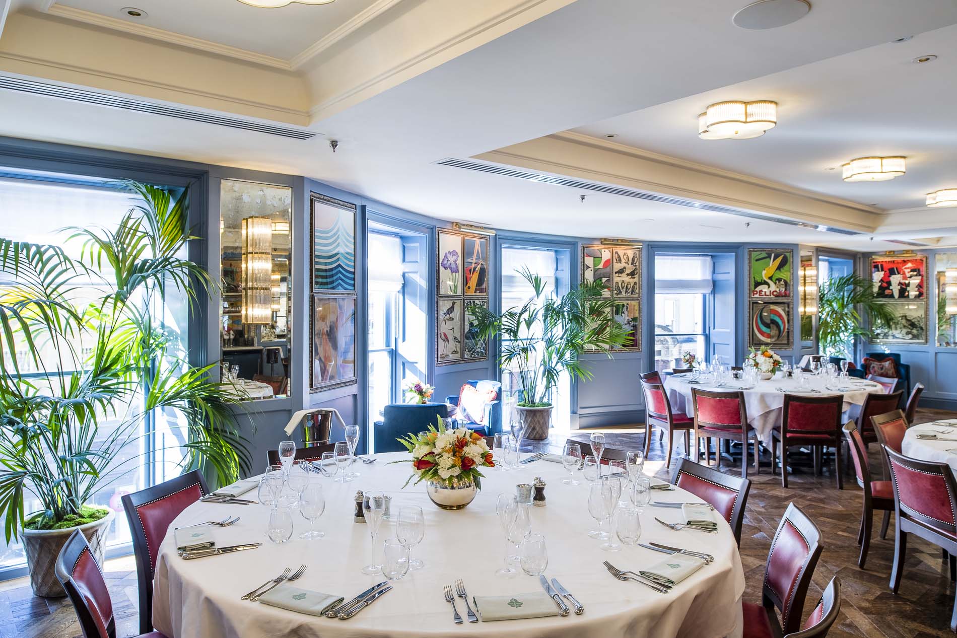 The Ivy Bath Brasserie and Garden - The Ivy Collection